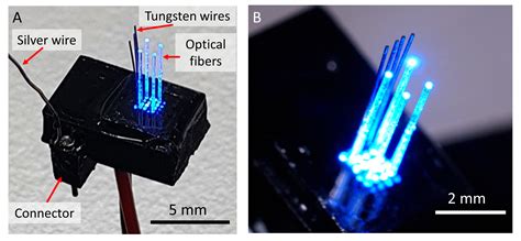 Optrode Array For Simultaneous Optogenetic Modulation And Electrical Optrode Array For Simultaneous Optogenetic Modulation And Electrical