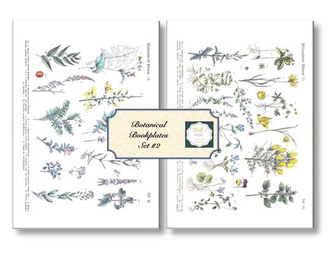 Botanical Bookplate Journal Page Set 2 2021 04 Tooks Ko Fi Shop