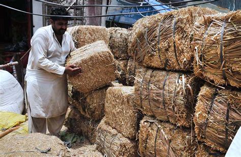 A Vendor Loading Dry Fodder For Sacrificial Animals As Per Demand Of