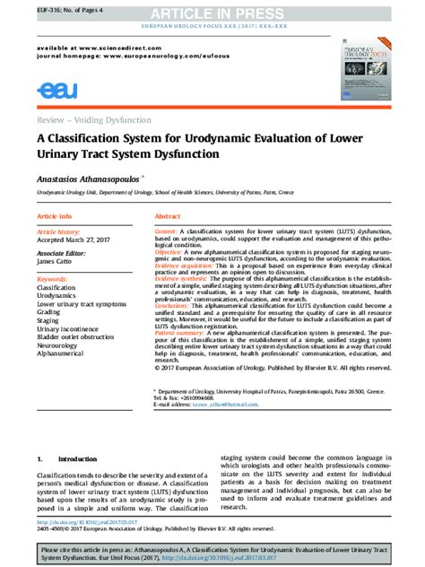 Pdf A Classification System For Urodynamic Evaluation Of Lower