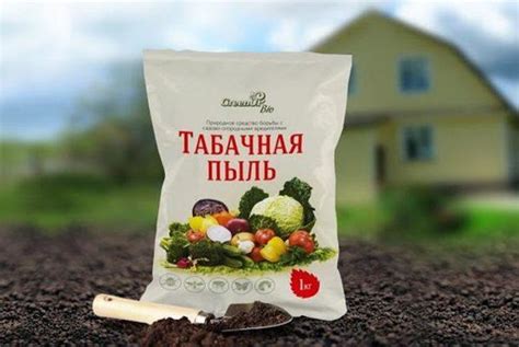 Эффективные препараты для обработатки клубники от долгоносика