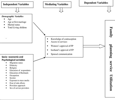 Conceptual Framework Showing The Determinants Of Contraceptive Service