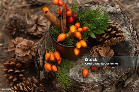 로즈힙 녹색 잎 가문비나무 가지 원뿔이 있는 금속 오래된 머그잔이 숲의 그루터기 위에 서 있습니다 0명에 대한 스톡 사진 및 기타 이미지 Istock