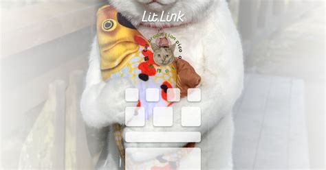猫制作pico lit link リットリンク