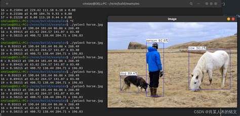 记录yolov560转为ncnn全过程yolov5npt Csdn博客