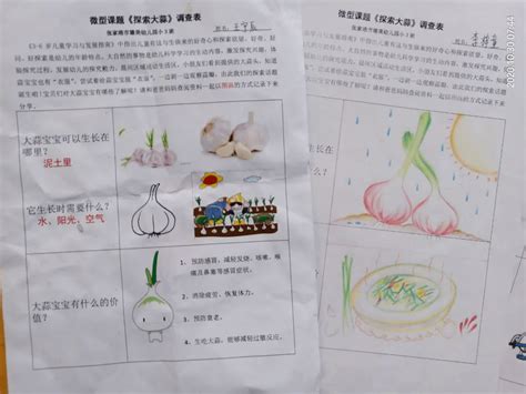 【张家港园】课程微故事：探秘大蒜 搜狐大视野 搜狐新闻
