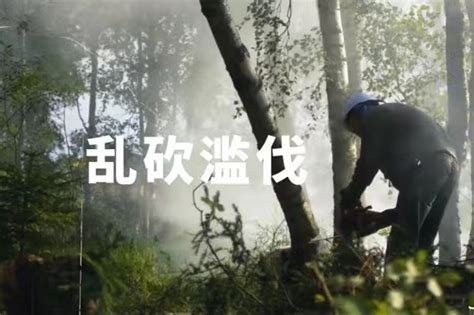 湖北远安县嫘祖镇开展企地共建 矿镇吹来稻花香 中国环境法治网 —《中国环境法治》杂志官网