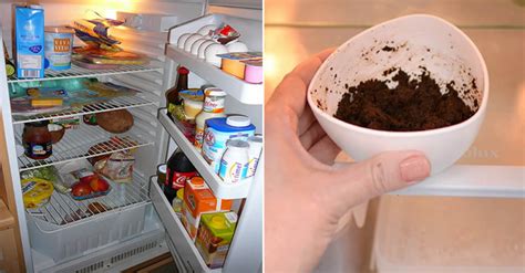 5 Itens Para Ter Sempre Dentro Da Geladeira E Deixá La Sem Cheiros