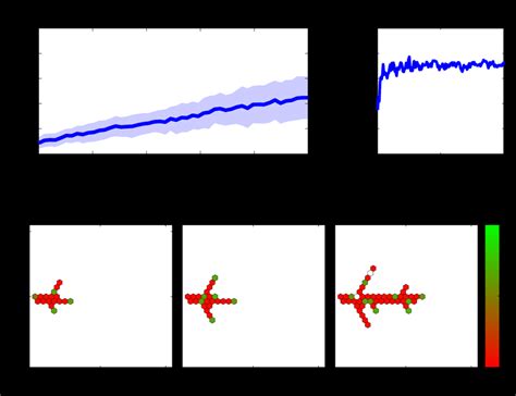 Temporal Evolution Of Mixing Measure Tip Cell Proportion And Branching