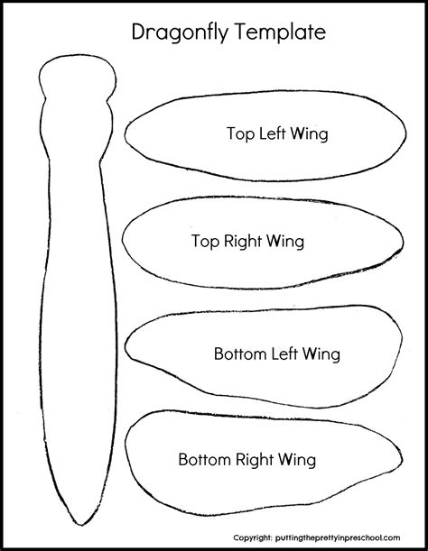 Dragonfly Template For Art And Craft Activities
