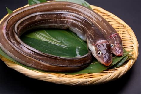 为什么鳗鱼是每个人在日本时都应该尝试的食物东京美食推荐 寻找美味日本 风味日本 日本餐厅预订指南