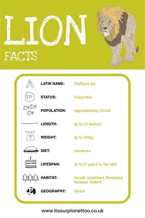 Awesome Animal Facts Learn About The Lion And Wow Your Friends