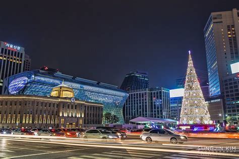 시청 앞 크리스마스 트리 점등