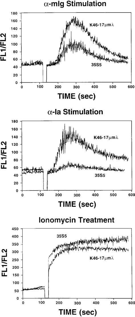 Calcium Mobilization In Response To Cross Linking Of Either The Bcr Or Download Scientific
