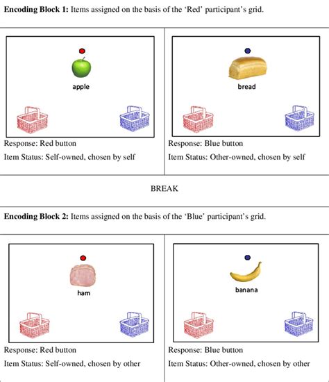 Experiment 2 Example Encoding Procedure Red Participant To View