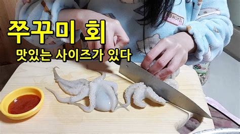 쭈꾸미 회 이왕이면 맛있는사이즈로 먹어요 Youtube