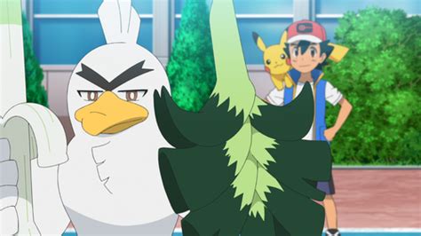 Ashs Sirfetchd Bulbapedia The Community Driven Pokémon Encyclopedia