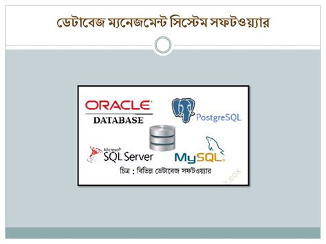 Database Overview In Bangla Pptx