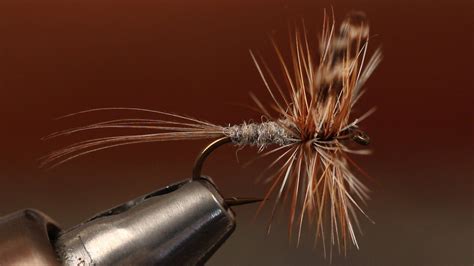 Adams Dry Fly Pattern Pattern Matching Algorithms