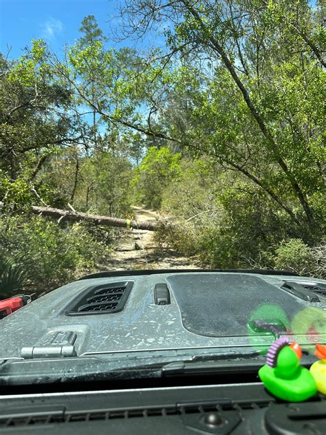 FL Tread Lightly Badge Trail Jeep Gladiator JT News Forum Community JeepGladiatorForum Com