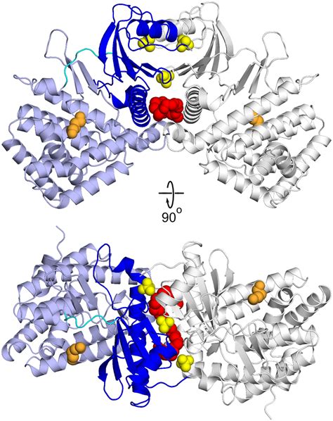 Febs Letters Vol 599 No 3