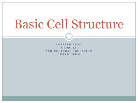 Basic Cell Structure