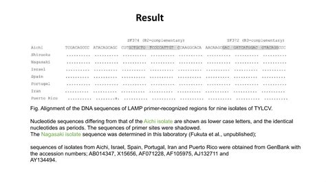 Loop Mediated Isothermal Amplification Lamp Pptx