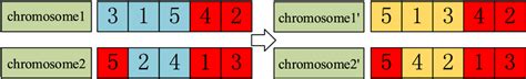 Crossover Rule Of The Chromosomes Download Scientific Diagram