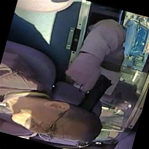 Deneme Object Detection Dataset By Detect