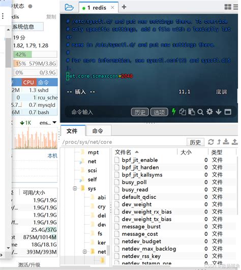 Redis（配置文件属性解析）redis Tcp Backlog Csdn博客