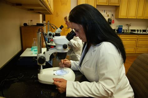 Webinar How Mosquito Surveillance And Testing Help Protect Public Health