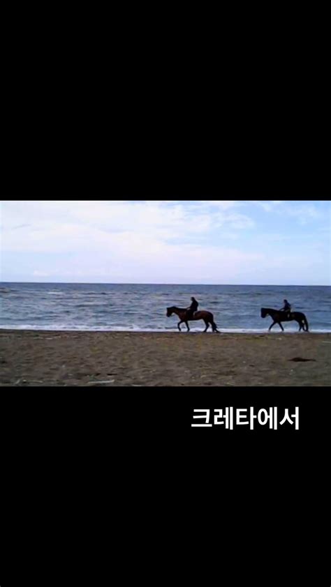 김민성 엄마 손잡고 마음가는대로 폴짝이는 다리 저녁밥을 싸와서 피크닉을 즐기는 가족 휠체어에 앉아 손으로 팔걸이에 리듬을 타는 할아버지 신기한 광경들에 넋놓다가도 금새