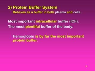 L Buffer Systems Ppt Lung And Respiratory Health Diseases And
