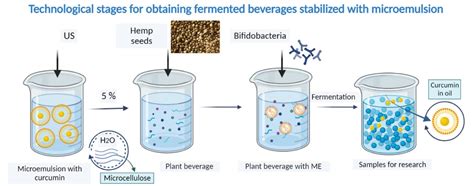 Fermentation Free Full Text Fermented Plant Beverages Stabilized
