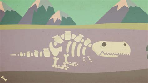 What Can Fossils Tell Us BBC Bitesize What Can Fossils Tell Us BBC Bitesize