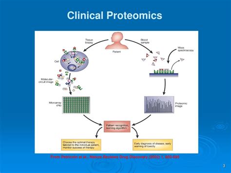PPT Protein Sequence Analysis Overview PowerPoint Presentation Free Download ID