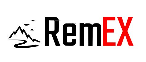 Remex Technologies Remex