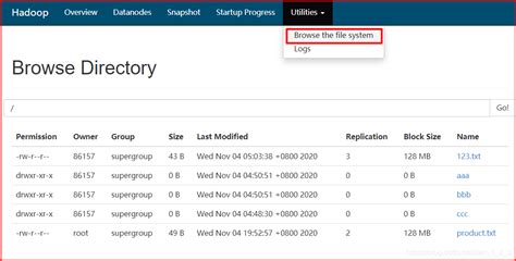 hdfs web界面介绍（50070） disk usage of each datanode csdn博客