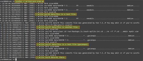 How To Monitor And Troubleshoot A Linux Server Using Sysdig