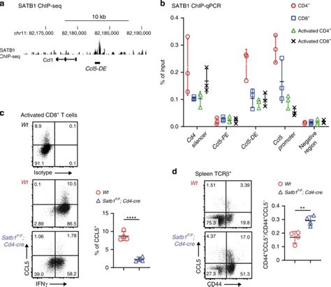Runx Mediated Regulation Of Ccl5 Via Antagonizing Two Enhancers Influences Immune Cell Function