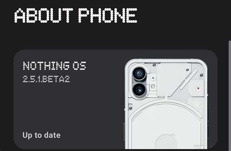 Is There Anyway I Can Downgrade My OS To Official R NOTHING