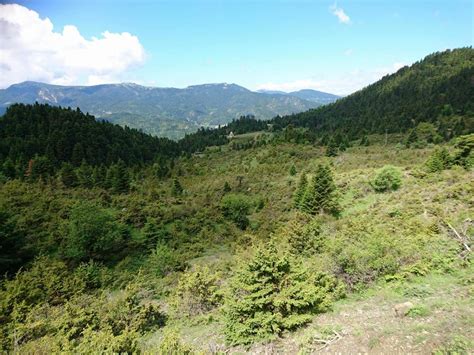 Ανοιξιάτικο τοπίο Κερασιά Φωκίδας ΤΟ ΧΩΡΙΟ ΤΩΝ 4 ΕΠΟΧΩΝ And ΤΩΝ 5 ΑΙΣΘΗΣΕΩΝ