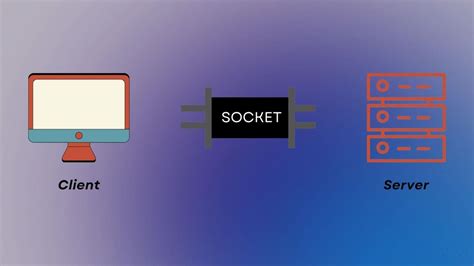Socket Là Gì Phân Loại ứng Dụng Và Cách Sử Dụng Socket