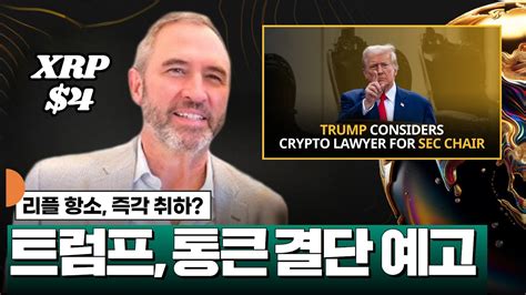 트럼프 리플 소송 통큰 취하 예고 후 4 직행 Xrp Youtube