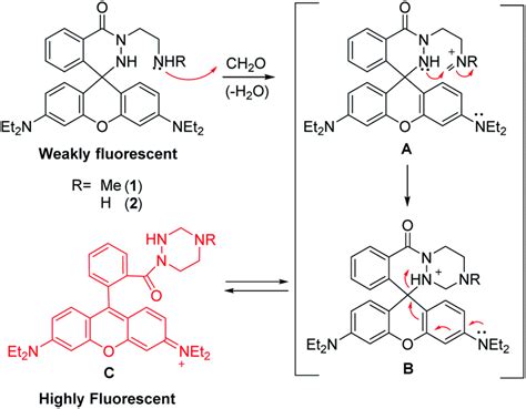 Fluorescence Rhodamine Detection At Adam Ross Blog