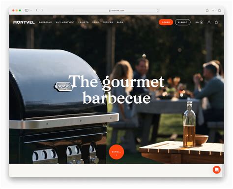 19 Best Wordpress Ecommerce Examples In 2025 Colorlib
