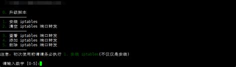 使用iptables实现端口转发（中转加速） 喵斯基部落
