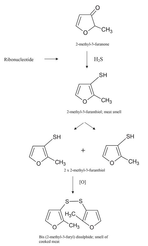 Volatile Compounds Formed In Maillard Reactions Third Group An Example Download Scientific