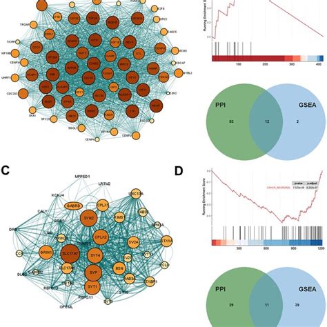 Enrichment Of Two Diagnosis Correlated Hub Gene Sets From Clusters A