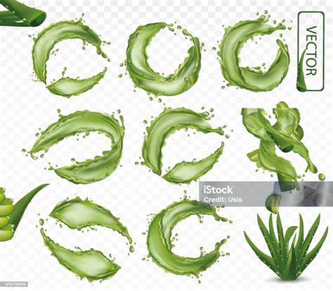 투명 한 배경에 스플래시 액체와 3d 현실적인 신선한 알로에 베라 피부 관리와 모발을위한 한방 약 주스 알로에 선인장 또는 알로에 베라 클로즈업 Eps 10 알로에베라에